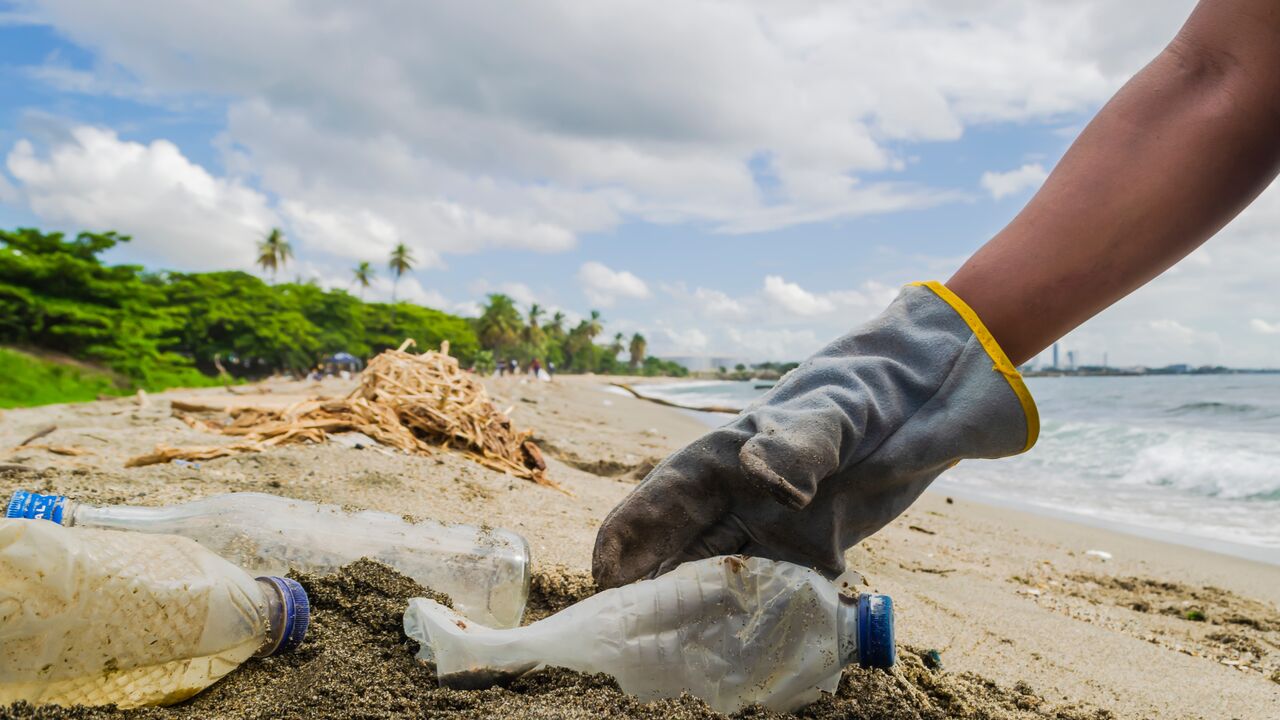 Interview: "Investments are needed to create proper waste management in ...