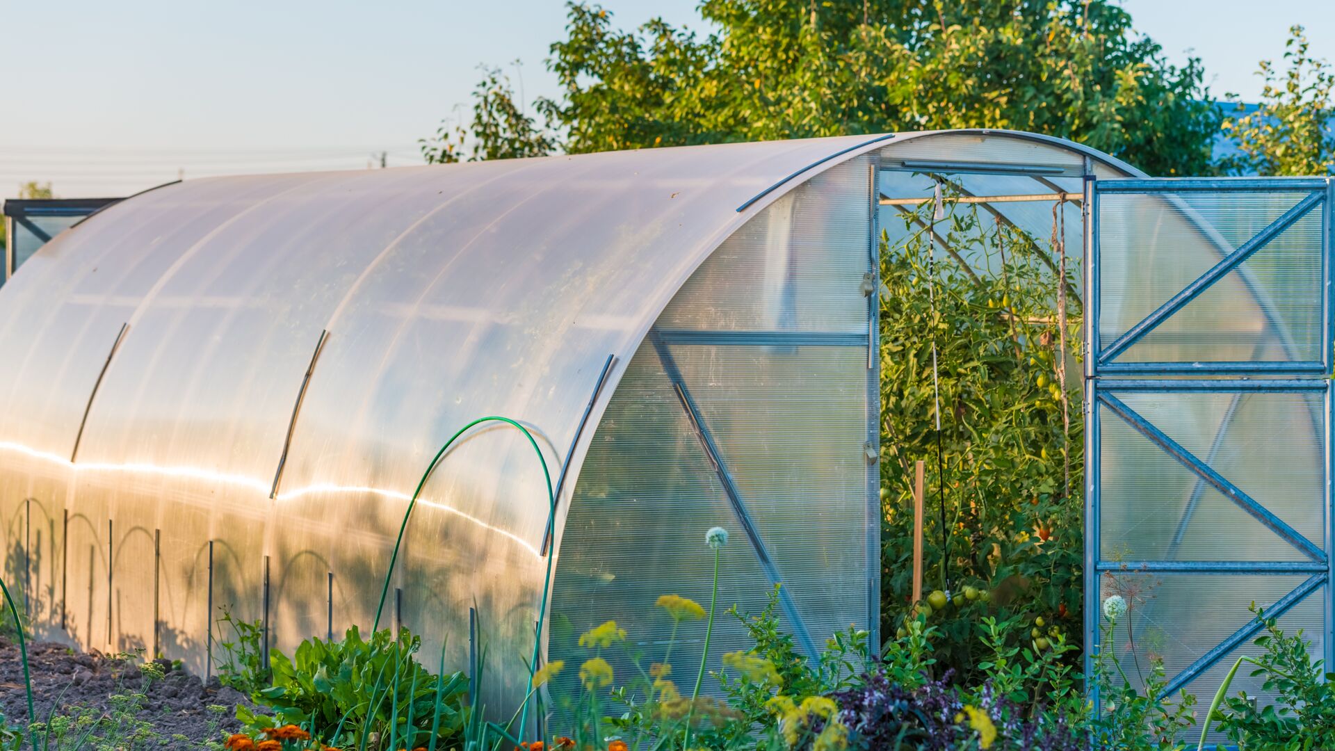 Composting: Heat Recovery from Compost: It's getting hot in here! | WMW