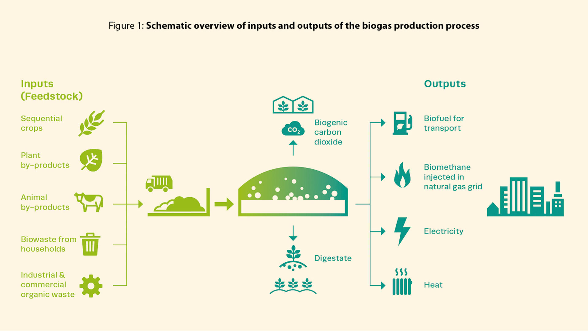 Energy from Waste: Biomethane: The solution for Europe's energy ...