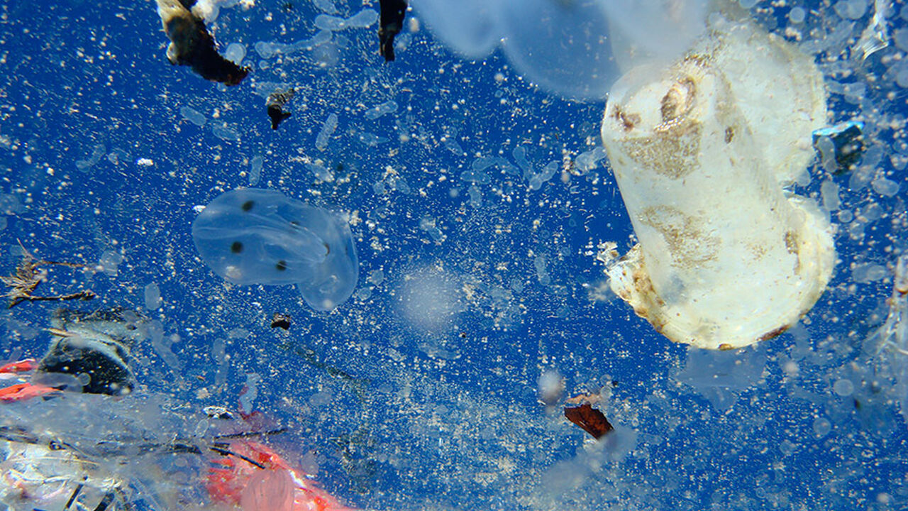 Four Year Project to Highlight Damage Being Caused by Waste Plastics ...