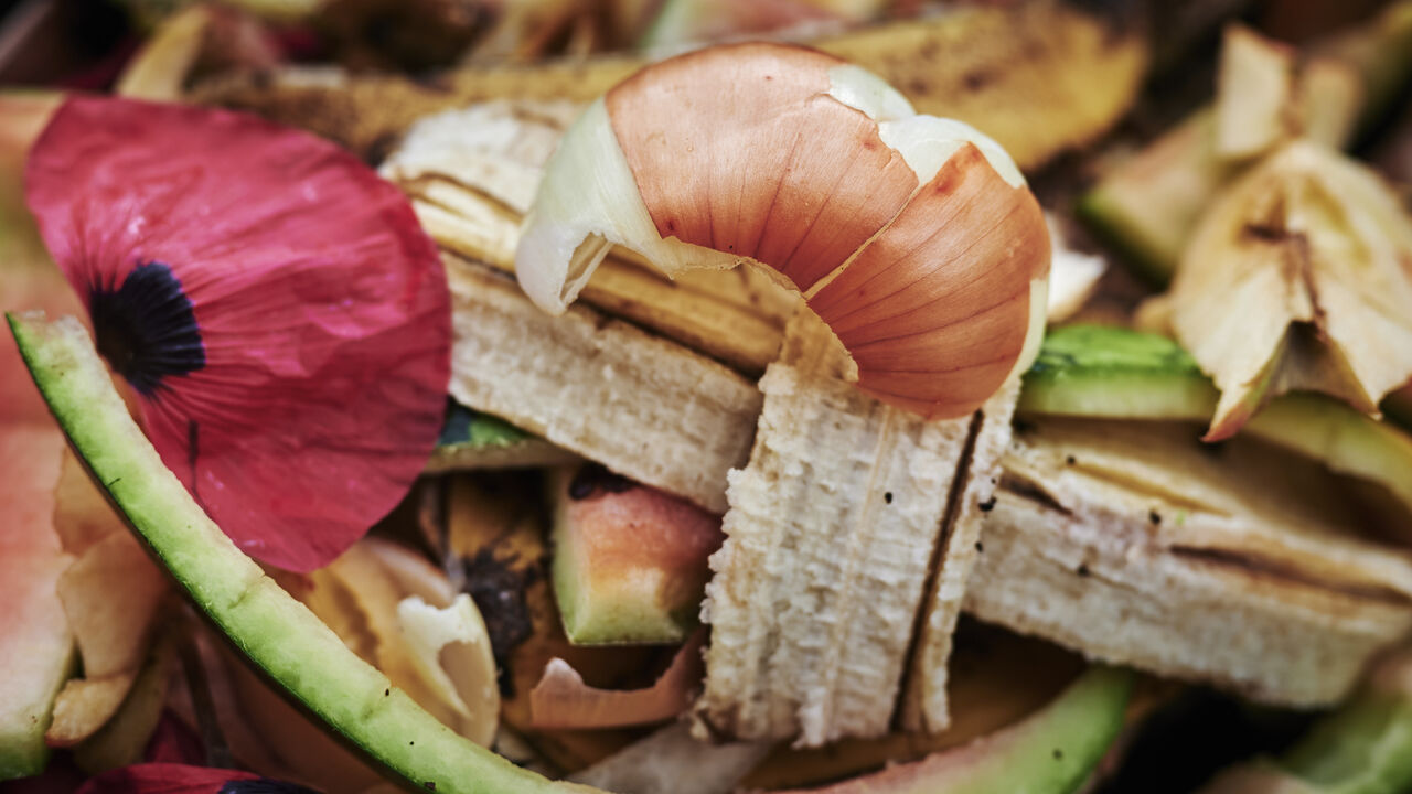 Food Waste Recycling: Project develops materials with vegetable waste ...